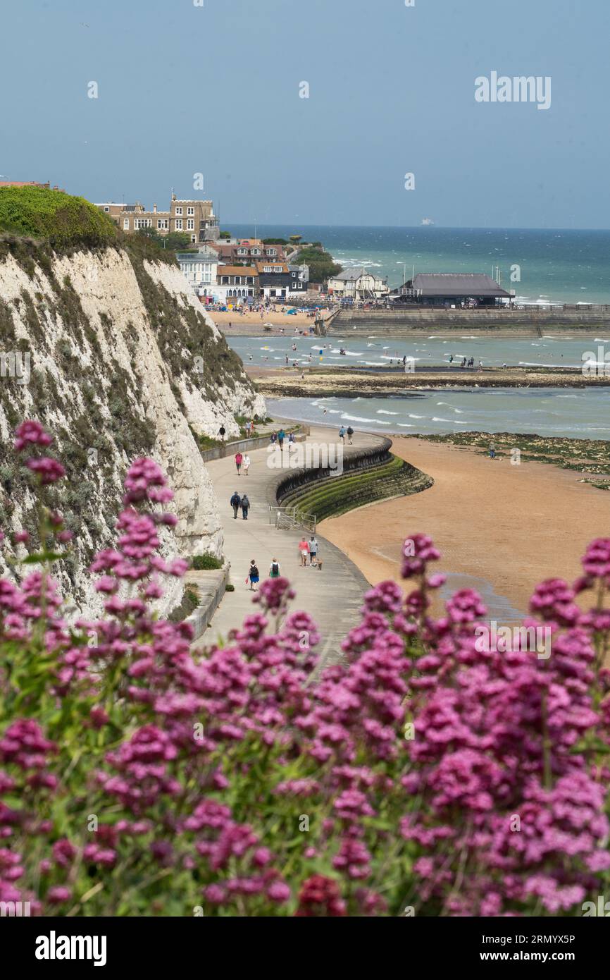 Coastal biome hi-res stock photography and images - Alamy