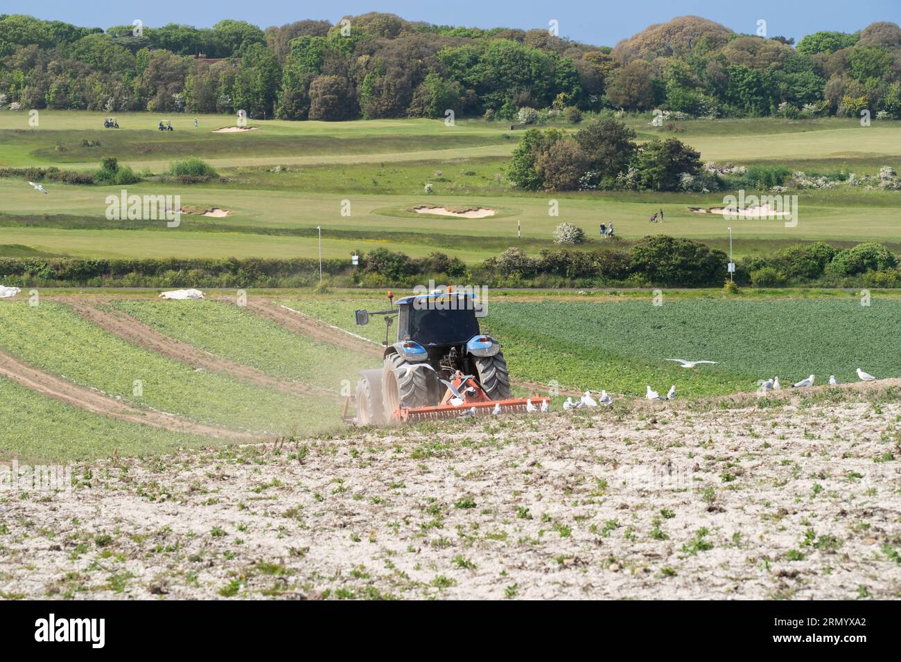 Kent coast scenery, England Stock Photo - Alamy