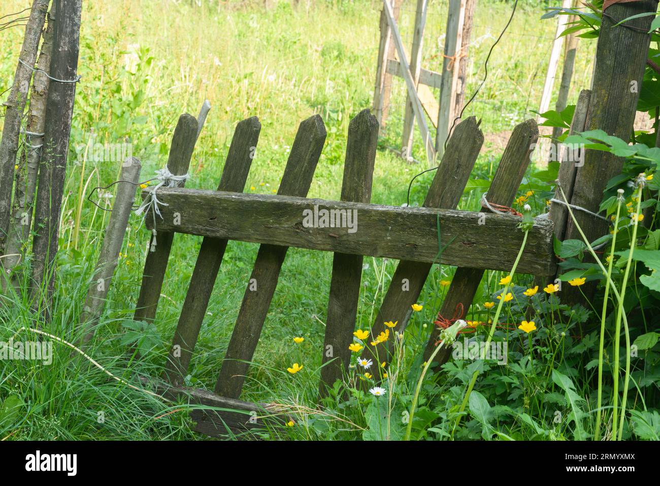 Picket fence with wildflowers hi-res stock photography and images - Alamy
