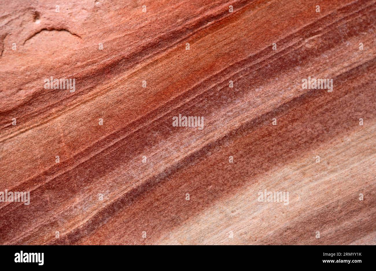 Reddish texture in sandstone - Valley of Fire State Park, Nevada Stock ...