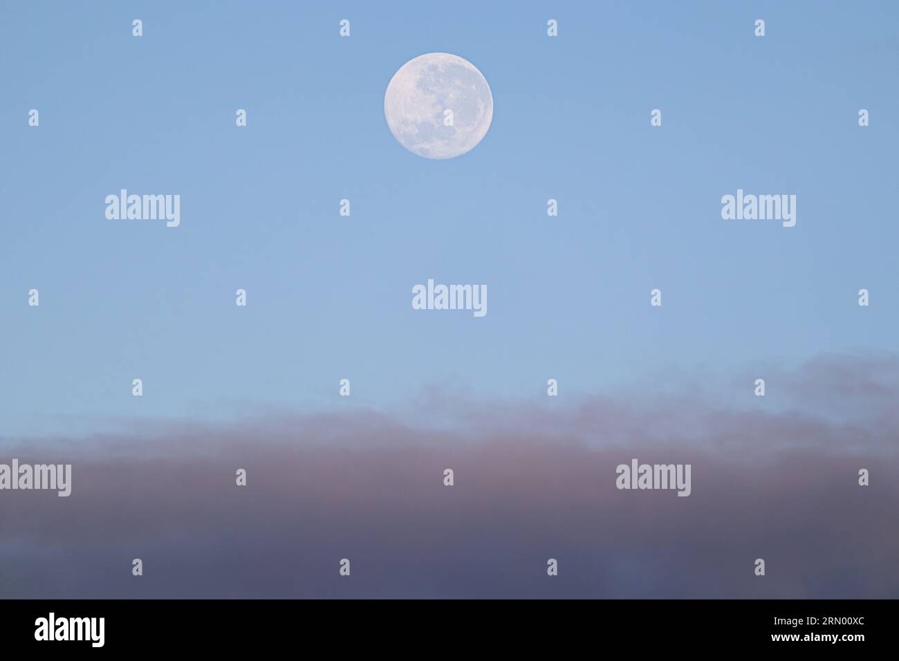 Brazil full moon night supermoon hi-res stock photography and images ...