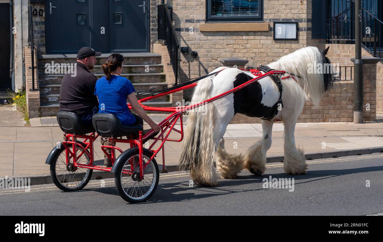 Gypsy rides horse and trap in Redcar UK Stock Photo - Alamy