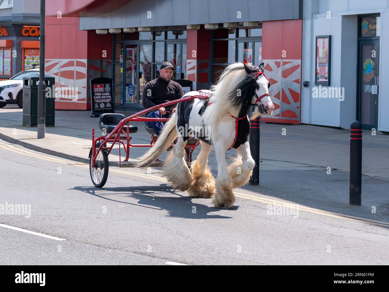 Gypsy rides horse and trap in Redcar UK Stock Photo - Alamy