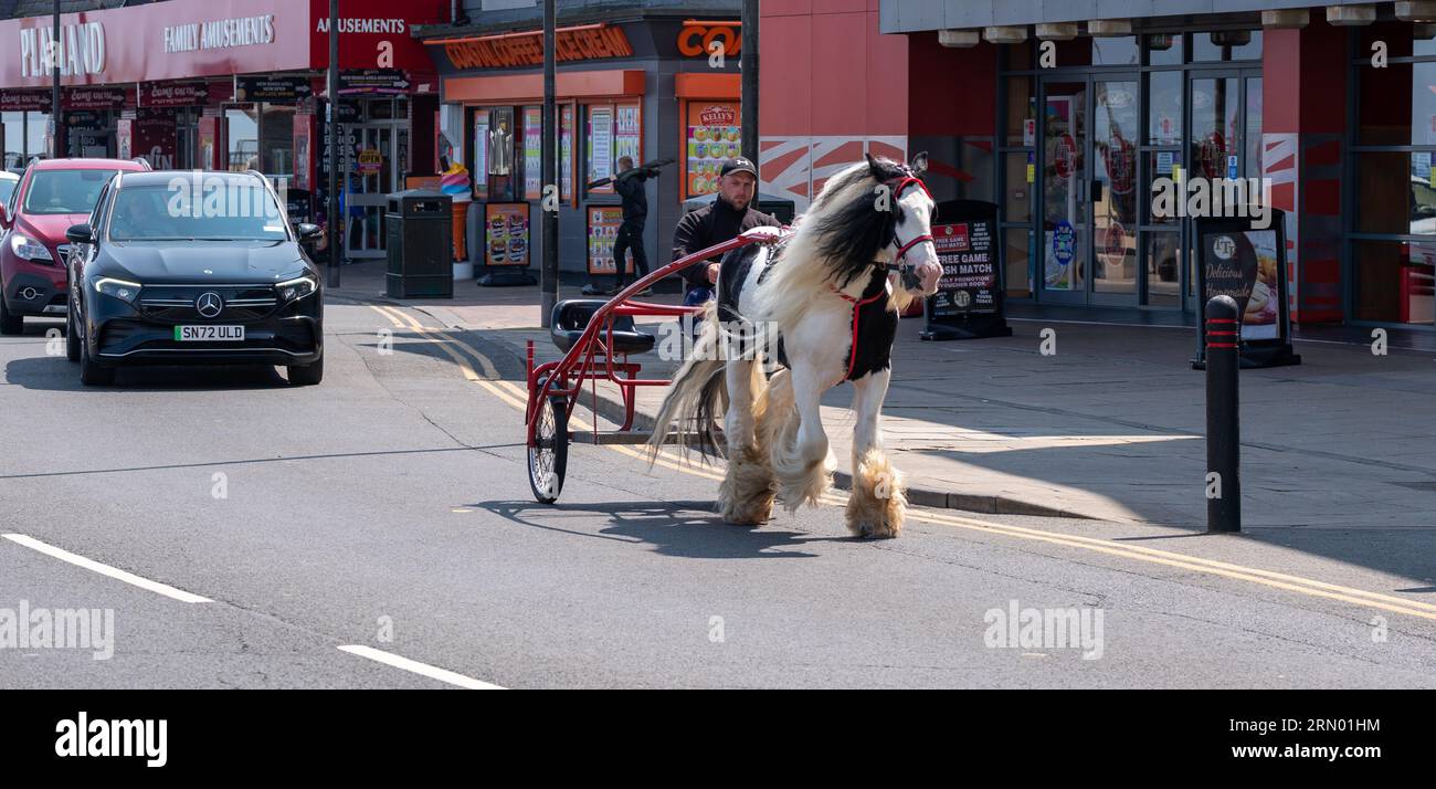 Gypsy rides horse and trap in Redcar UK Stock Photo - Alamy