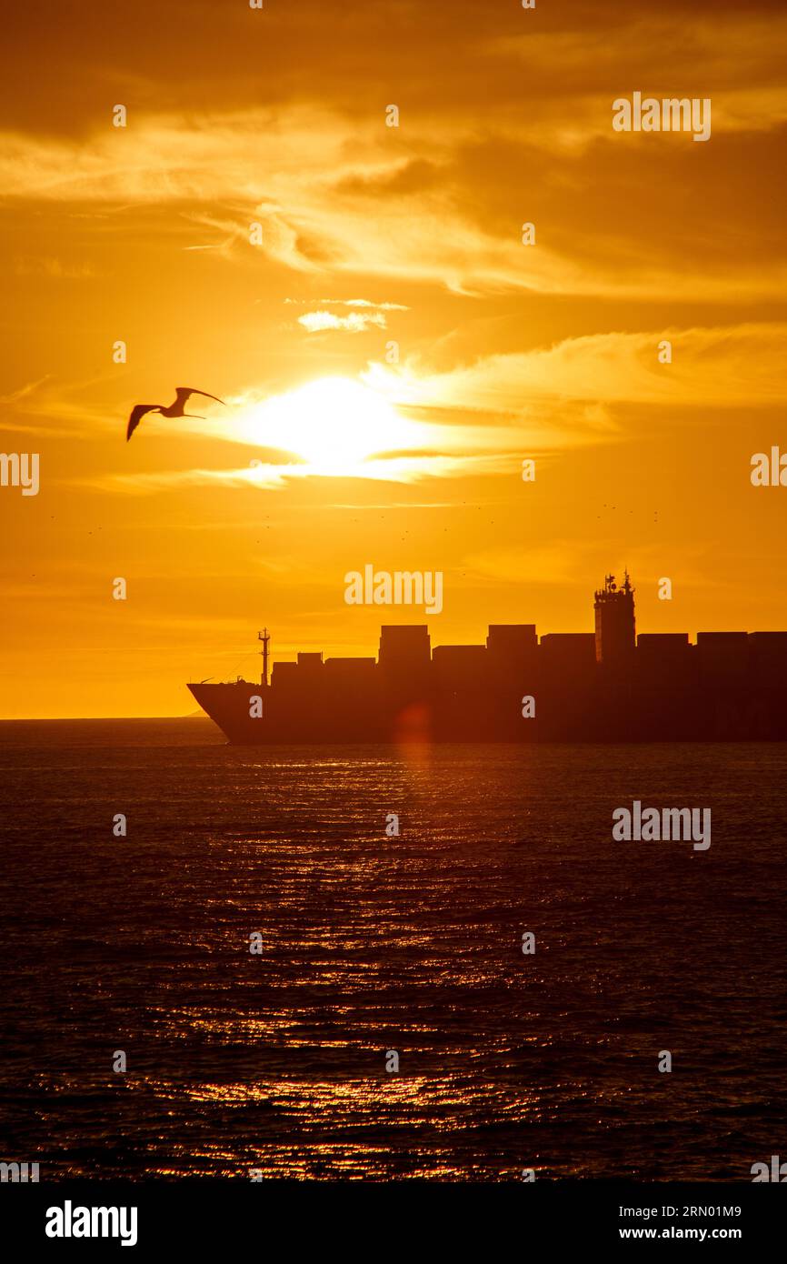 silhouette of a cargo ship at dawn on copacabana beach in rio de ...