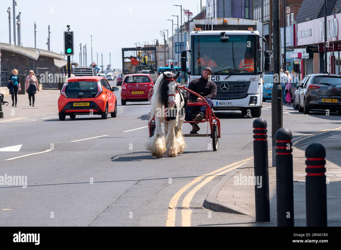 Gypsy rides horse and trap in Redcar UK Stock Photo - Alamy