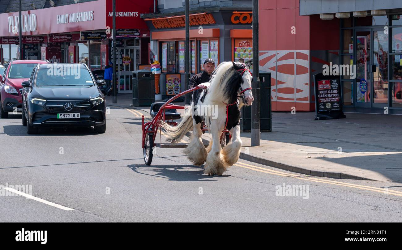 Gypsy rides horse and trap in Redcar UK Stock Photo - Alamy