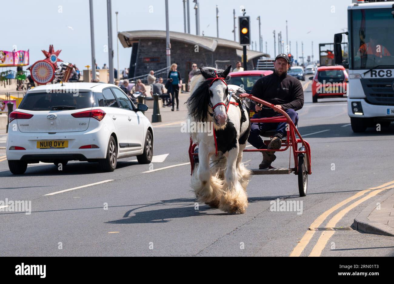 Gypsy rides horse and trap in Redcar UK Stock Photo - Alamy