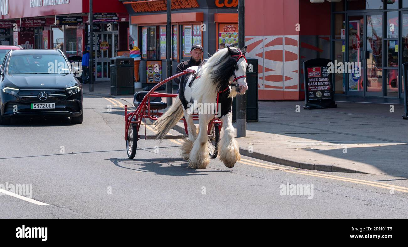 Gypsy rides horse and trap in Redcar UK Stock Photo - Alamy