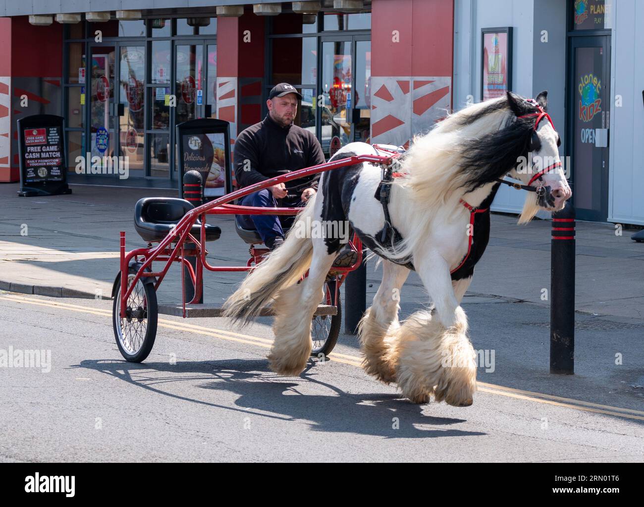 Gypsy rides horse and trap in Redcar UK Stock Photo - Alamy