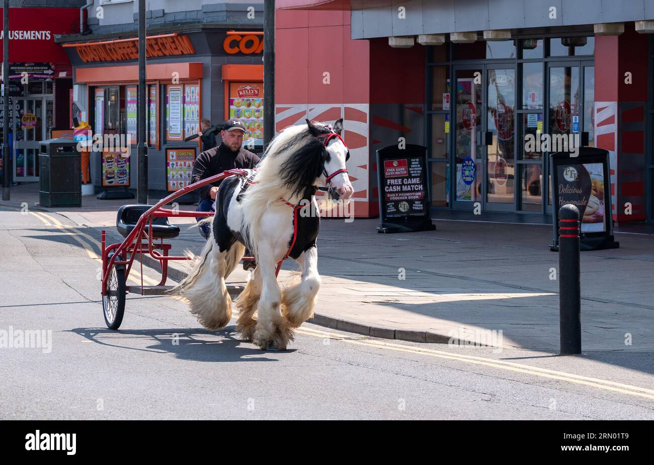 Gypsy rides horse and trap in Redcar UK Stock Photo - Alamy
