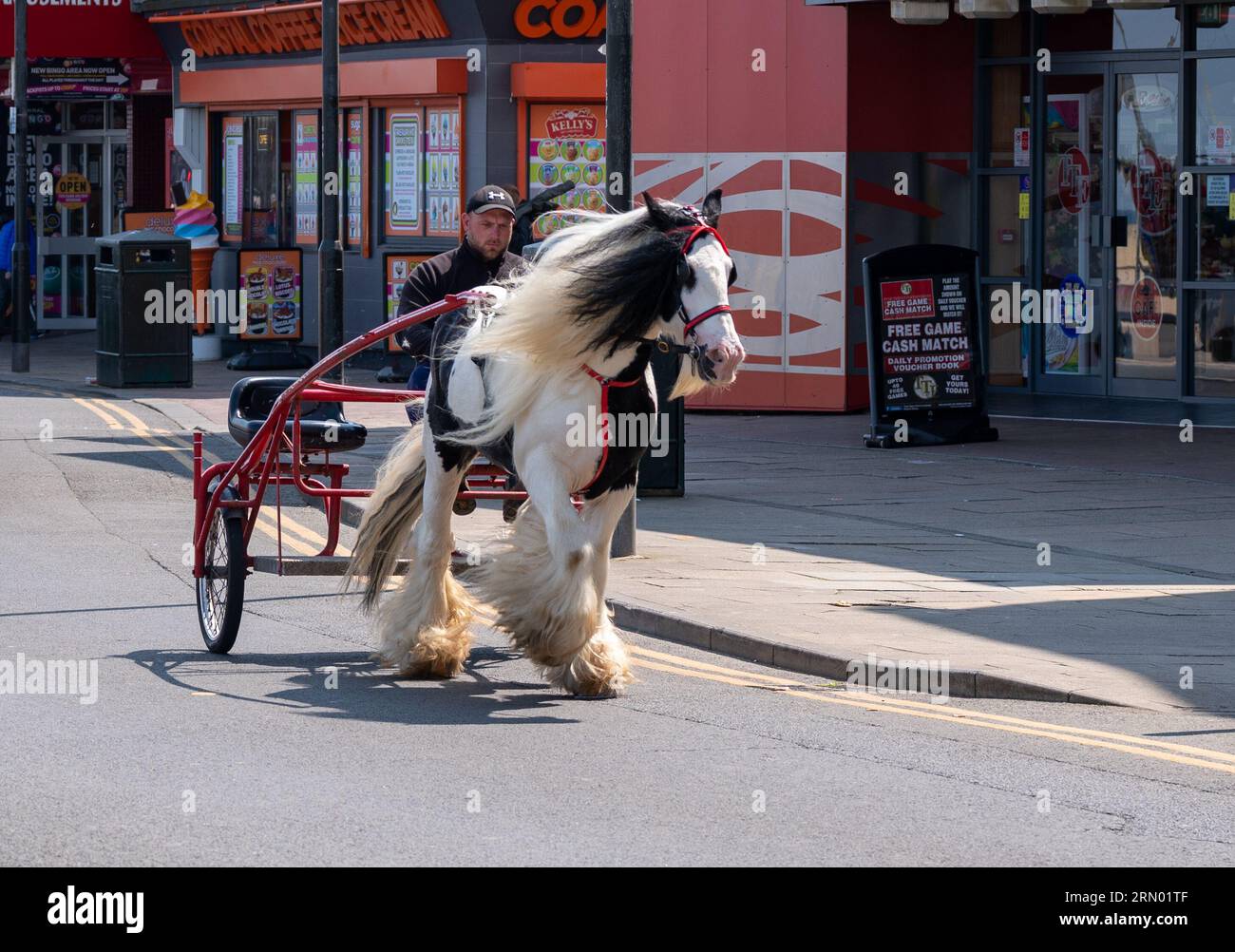 Gypsy rides horse and trap in Redcar UK Stock Photo - Alamy