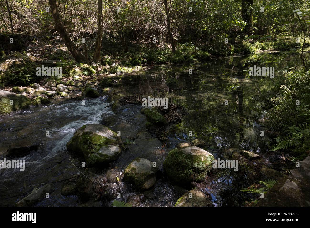 River at Pinal de Amoles, Queretaro Mexico Stock Photo - Alamy