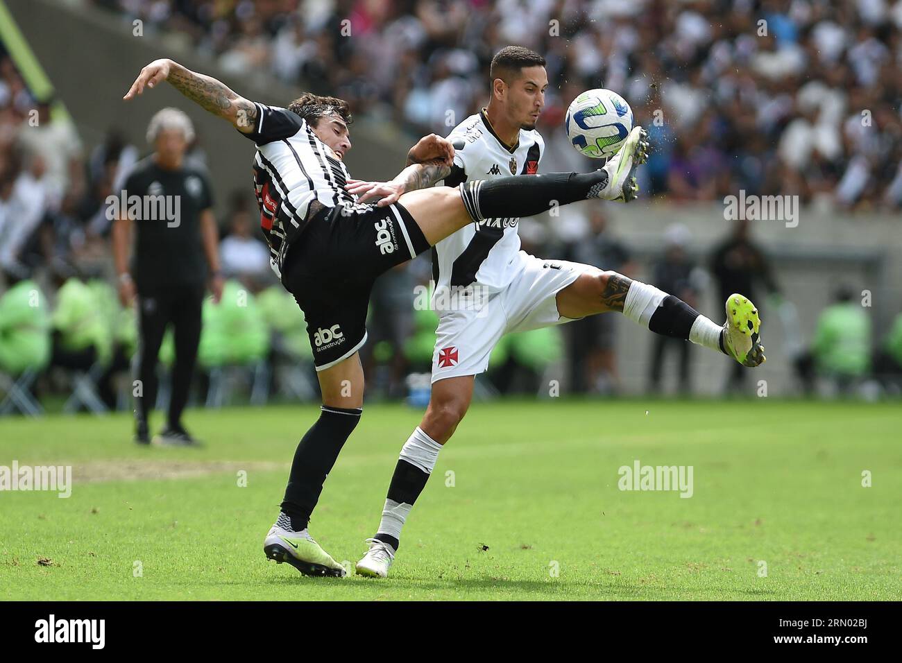 Vasco 2023 hi-res stock photography and images - Alamy