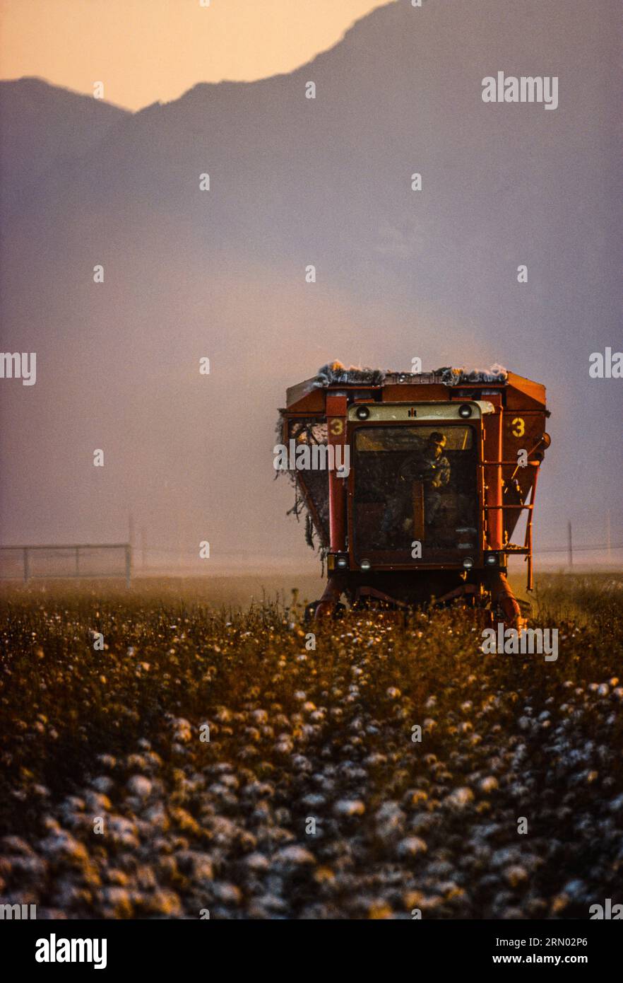 Cotton Harvester Southwest Phoenix Phoenix, Arizona, USA Stock Photo ...