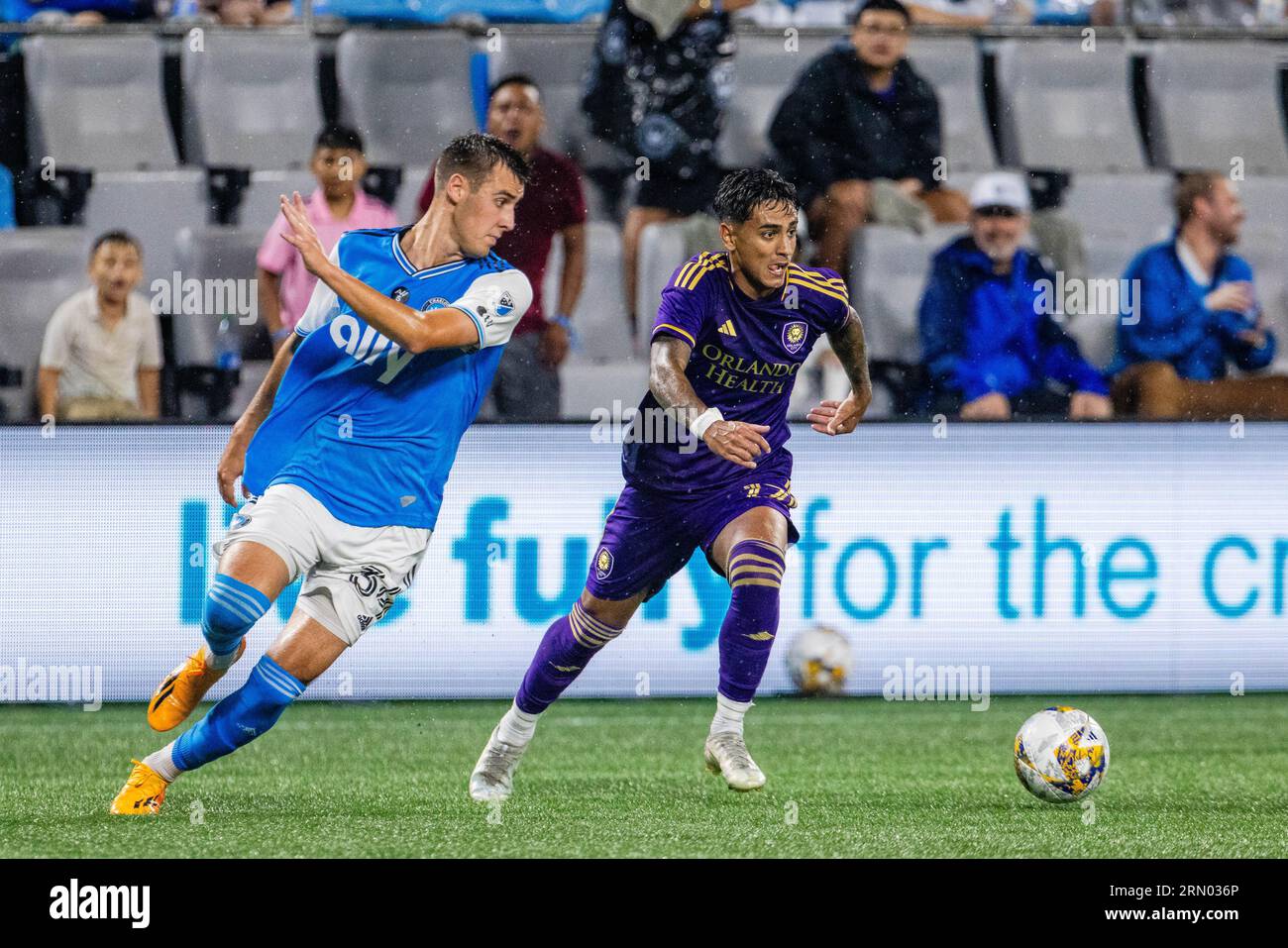 Privett hi-res stock photography and images - Alamy