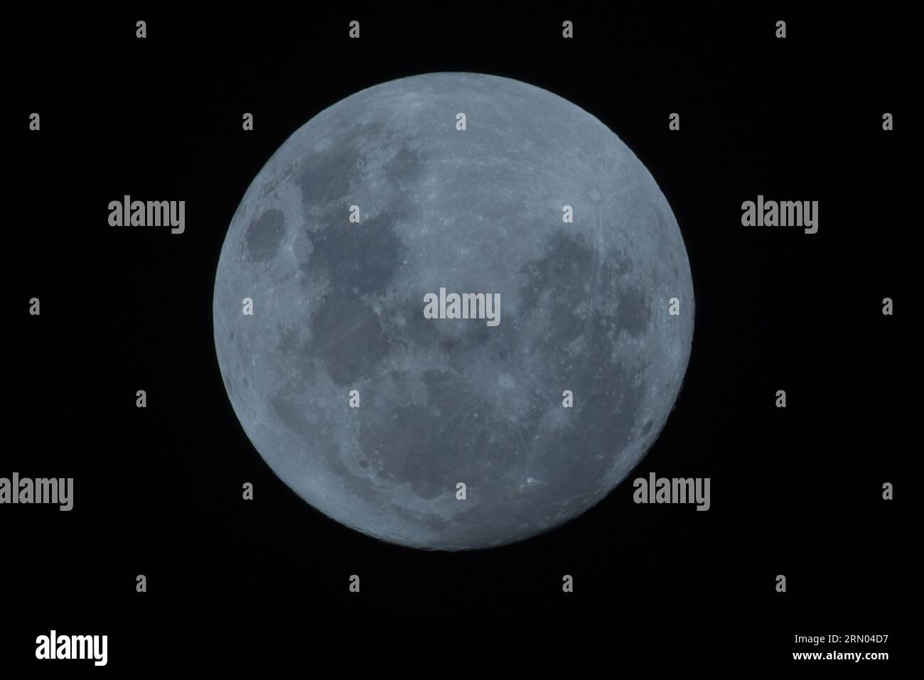 Melbourne, Punjab, Australia. 30th Aug, 2023. An attractive stunning ...