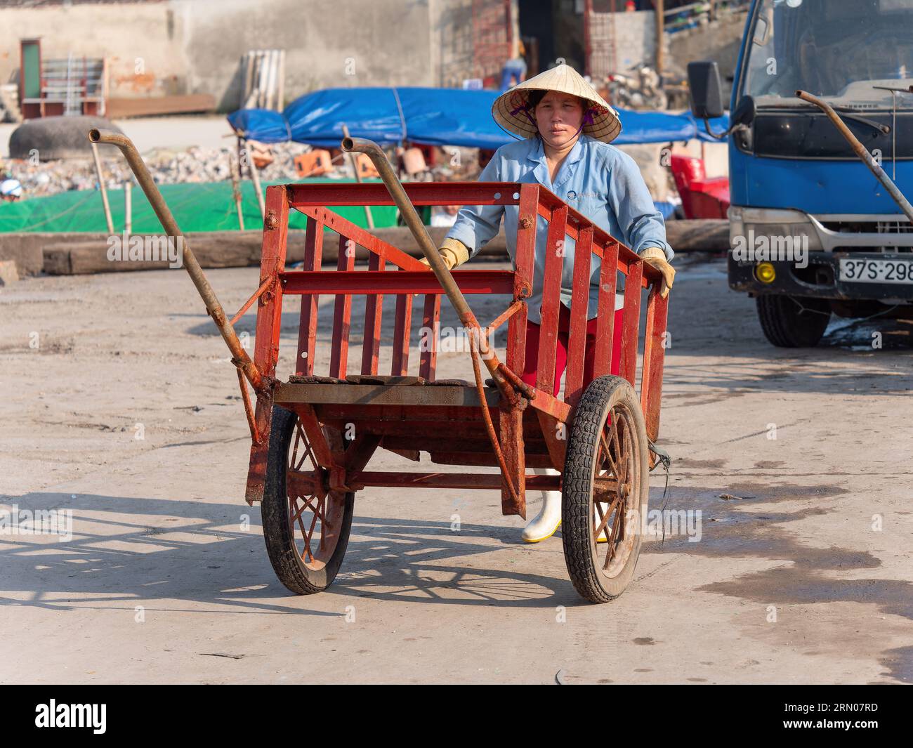 Female worker from a fish processing plant pushing a hand cart at Hai ...