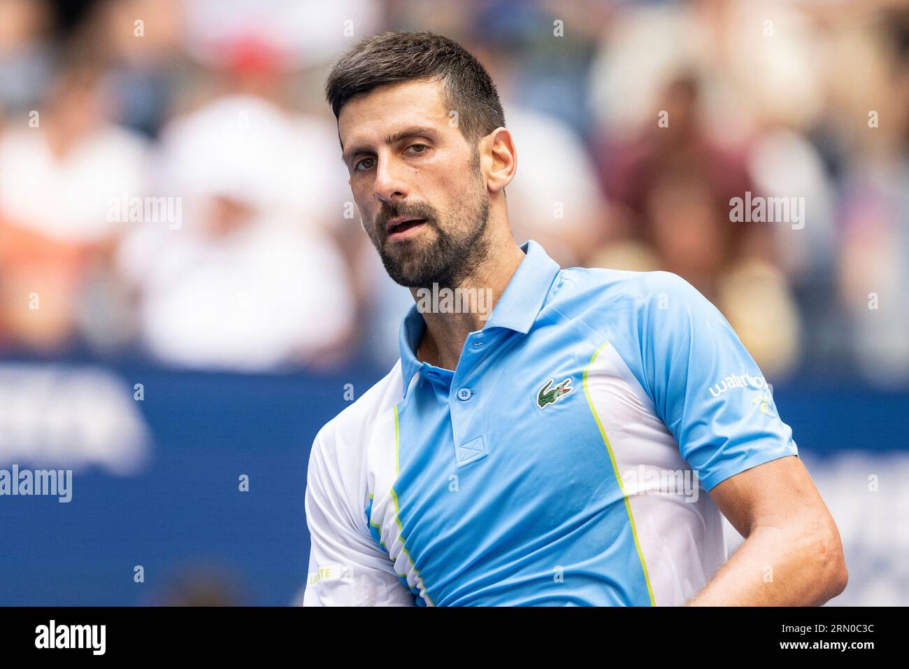 New York, USA. 30th Aug, 2023. Novak Djokovic of Serbia in action ...