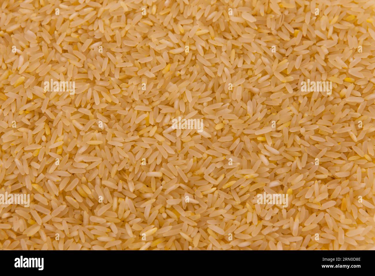 Traditional Colombian dish typical latin recipes with rice Stock Photo ...