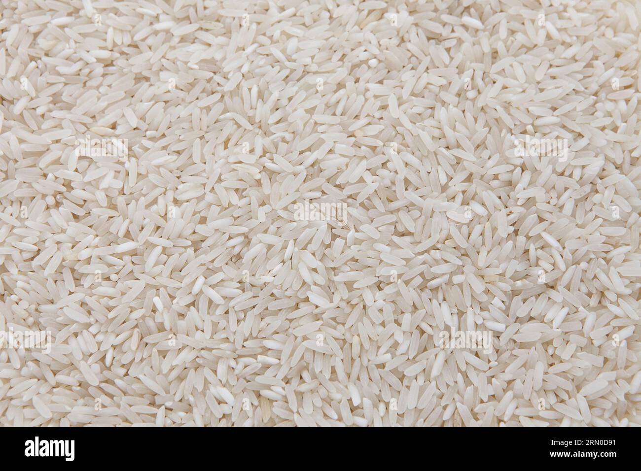 Traditional Colombian dish typical latin recipes with rice Stock Photo ...