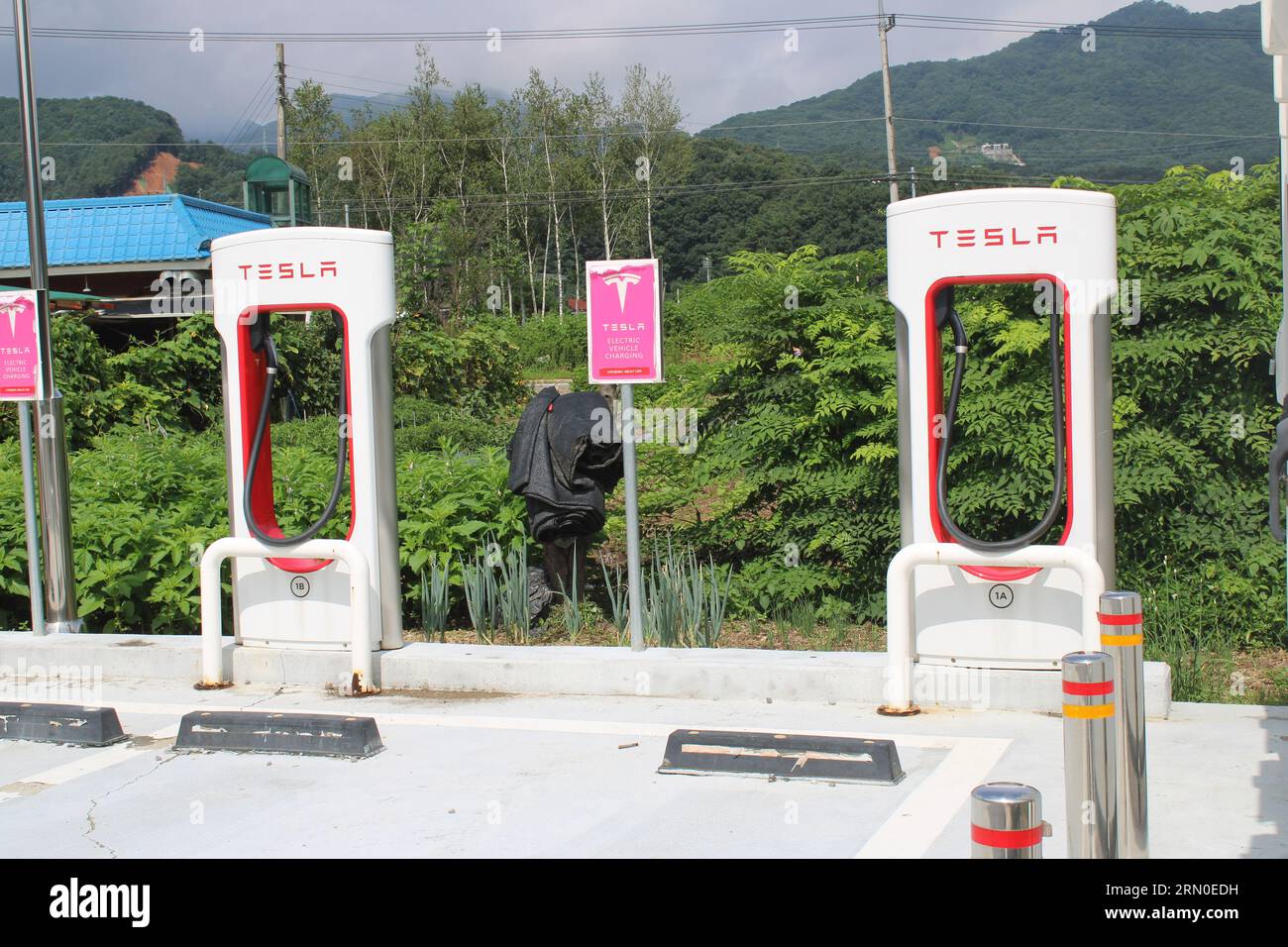Tesla EV charging station Stock Photo - Alamy