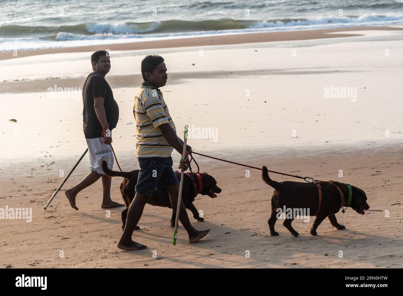 Calangute, Goa, India - January 2023: Two Indian men walking their pet ...