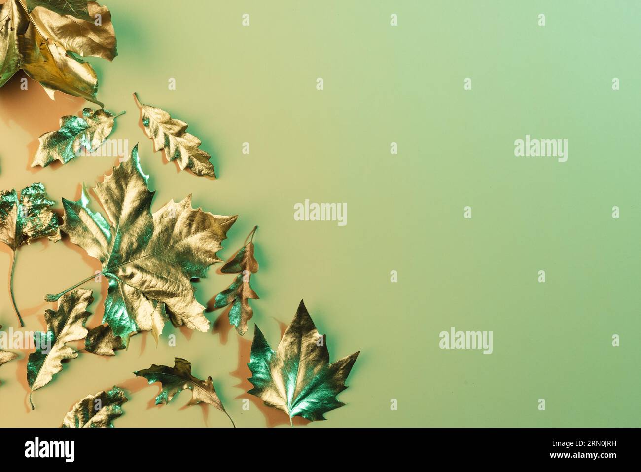 Metallic gold autumn leaves with copy space on green background Stock ...
