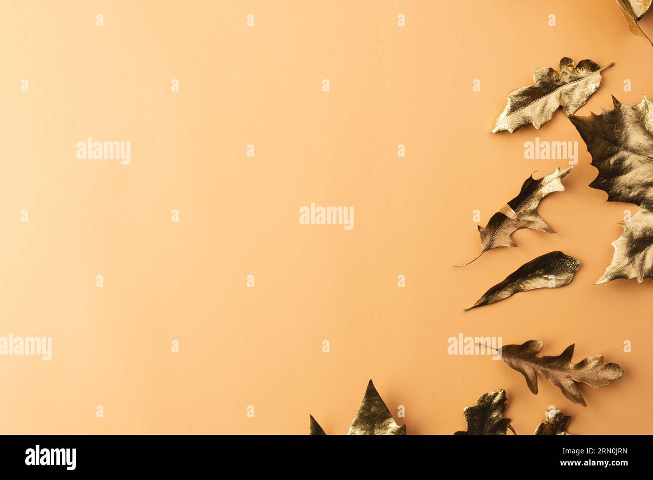 Metallic gold autumn leaves with copy space on orange background Stock ...