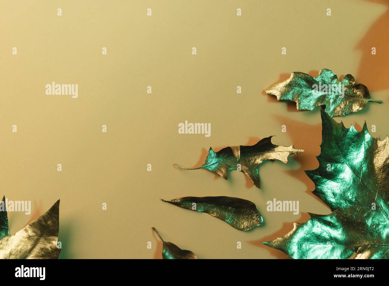 Metallic gold autumn leaves with copy space on orange background Stock ...