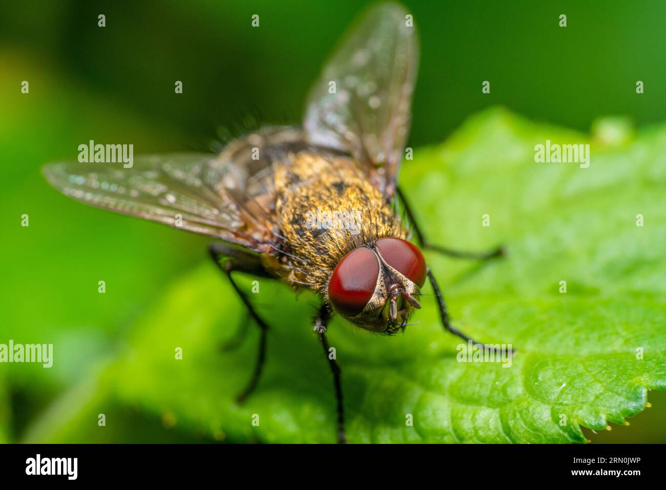 Low angle shot loft hi-res stock photography and images - Alamy