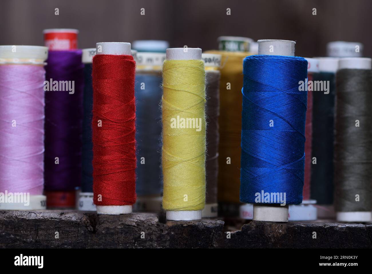 Shallow focal plane hi-res stock photography and images - Alamy
