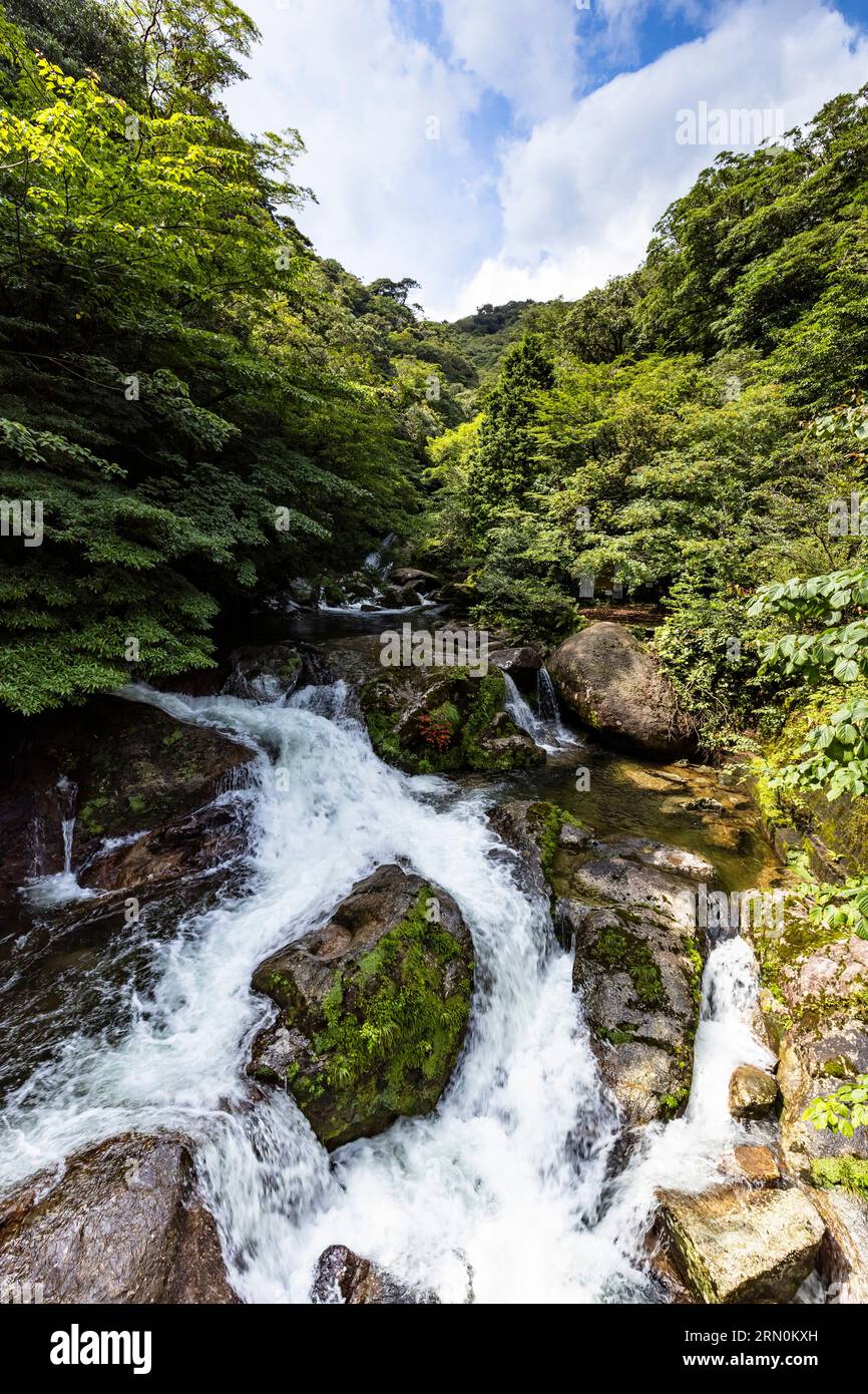 Shirotaenotaki(shirotae fall), Shirotae-no-taki, Shitatani river ...