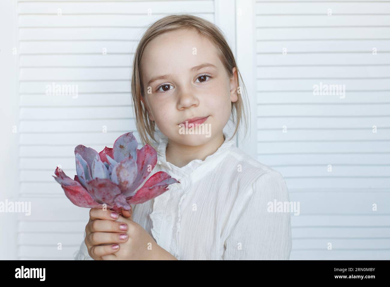 Pretty smiling kid girl with colorful succulent flower on white Stock ...