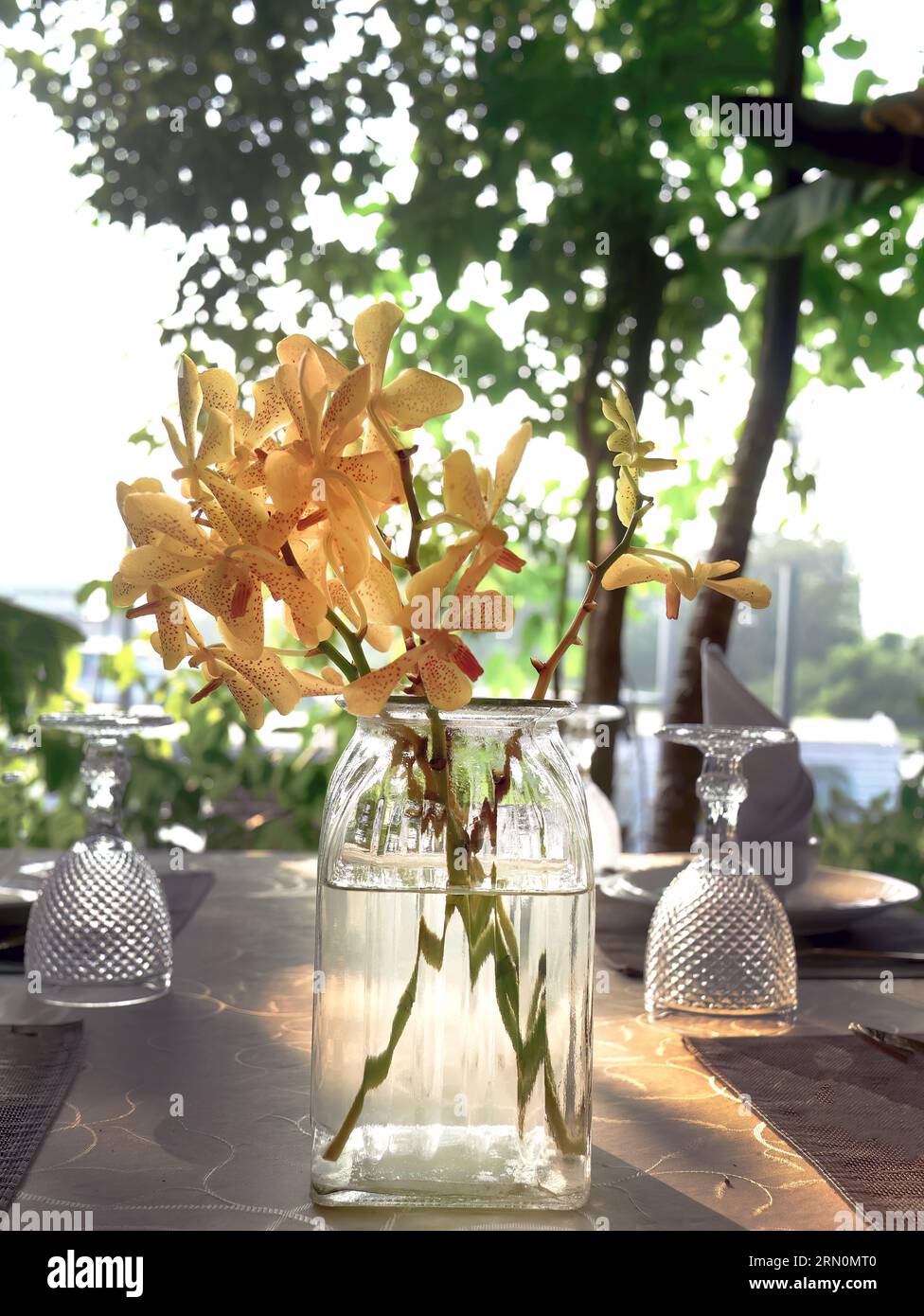 Elegant Thai style table setting for romantic atmosphere lunch or ...