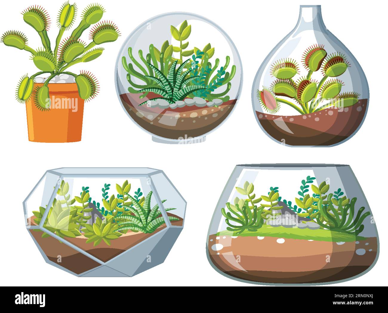 Illustrated cartoon-style terrarium featuring succulent plant and Venus ...