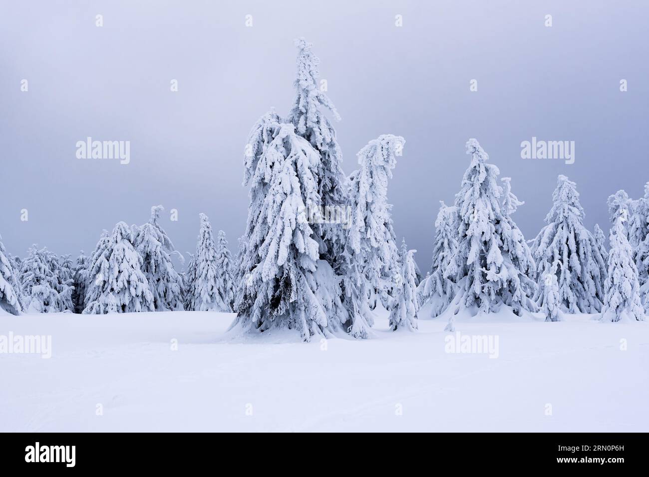 Surreal winter snowy scene fence hi-res stock photography and images ...