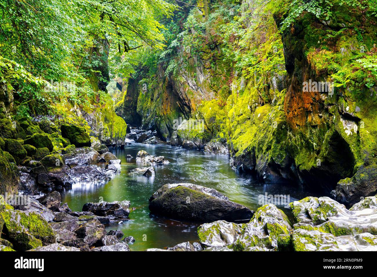 Fairy Glen gorge on the Conwy River, Betws-y-Coed, Snowdonia National ...
