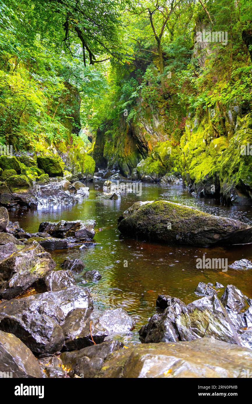 Fairy Glen gorge on the Conwy River, Betws-y-Coed, Snowdonia National Park, Wales, UK Stock ...