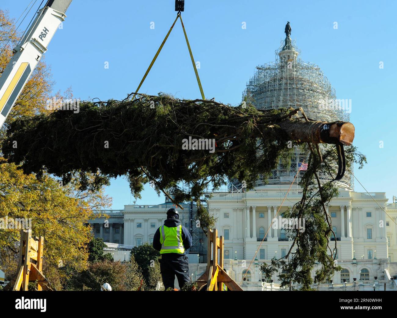 Chippewa national forest cass lake hi-res stock photography and images ...