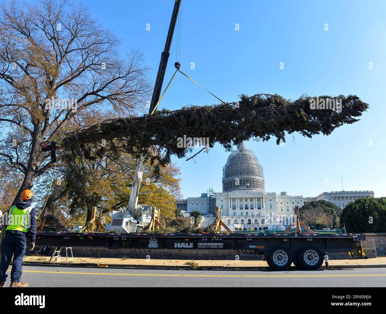Chippewa national forest cass lake hi-res stock photography and images ...