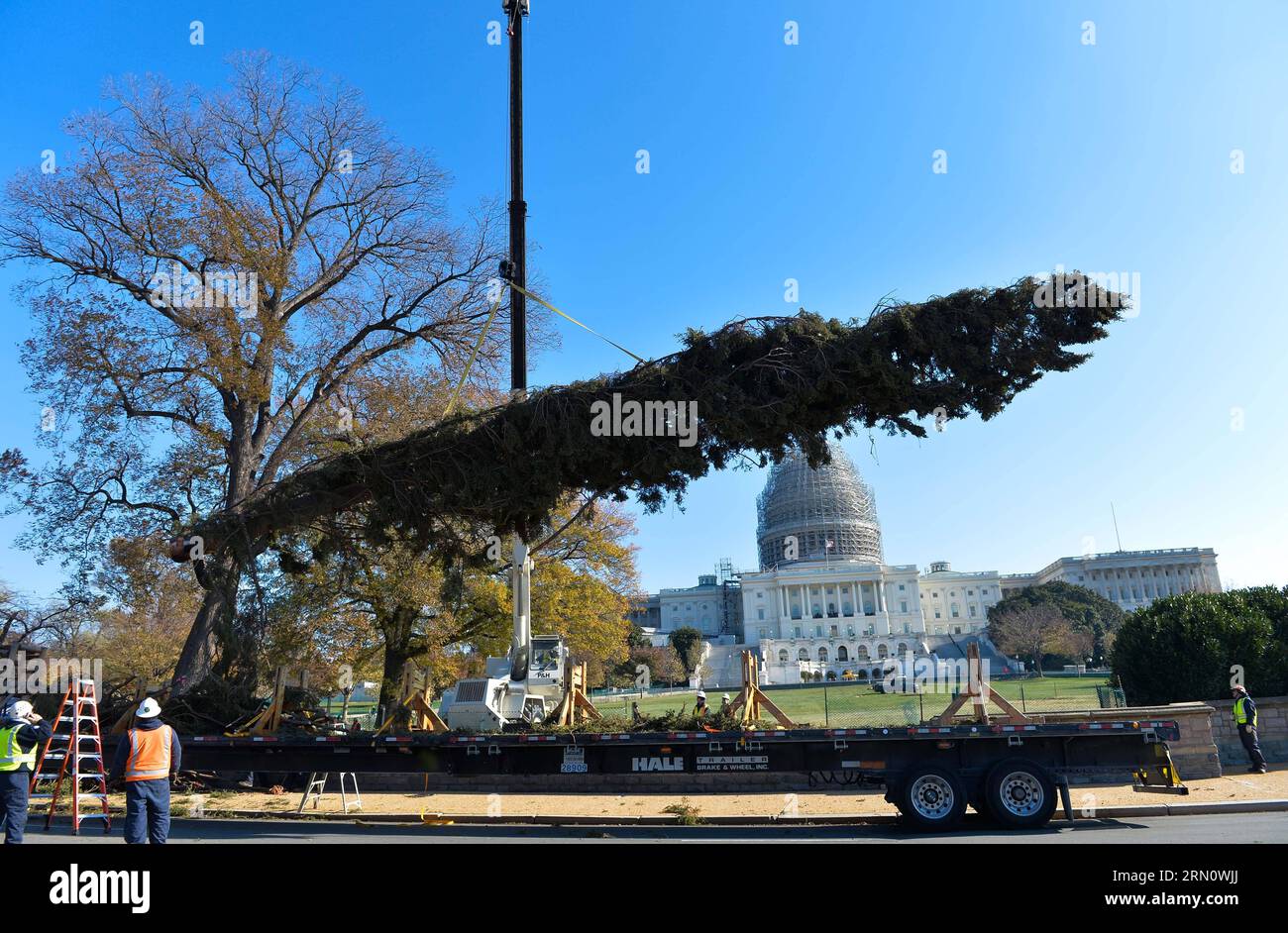 Chippewa national forest cass lake hi-res stock photography and images ...
