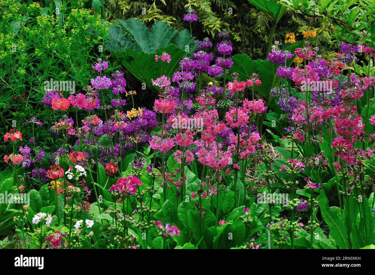 Formal flower planting border hi-res stock photography and images - Alamy
