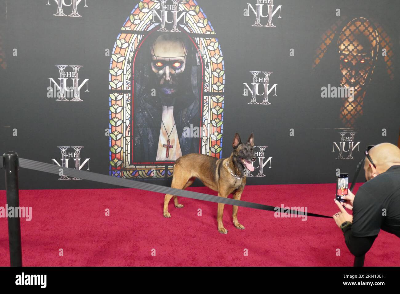 Los Angeles, California, USA 30th August 2023 K-9 Dog at Special Fan ...