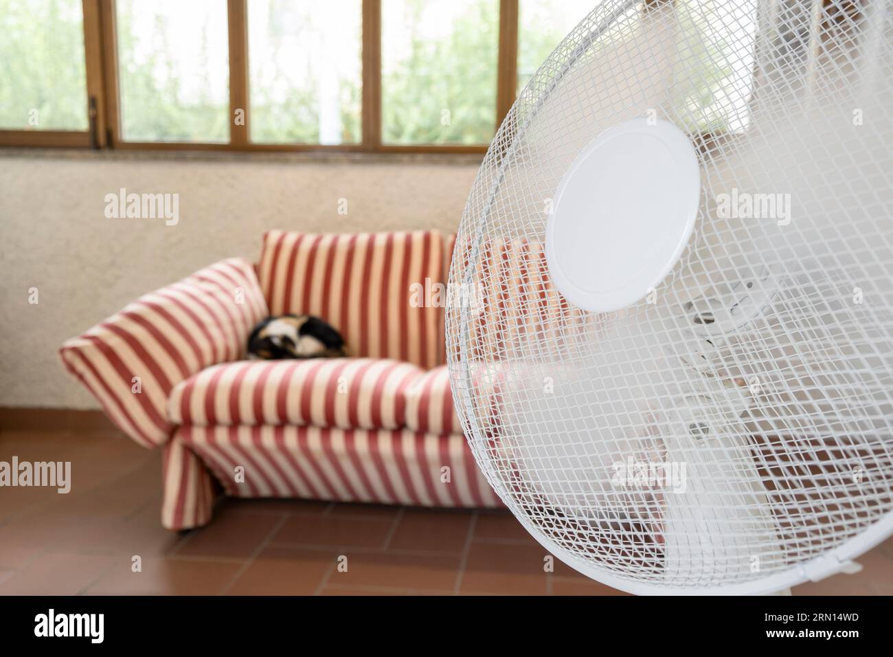Modern white electric fan working in room Stock Photo - Alamy