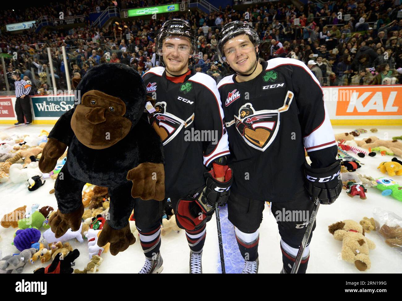 Pacific coliseum canada hockey hi-res stock photography and images - Alamy
