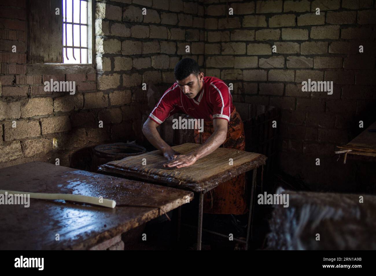 Egypt papyrus village hi-res stock photography and images - Alamy