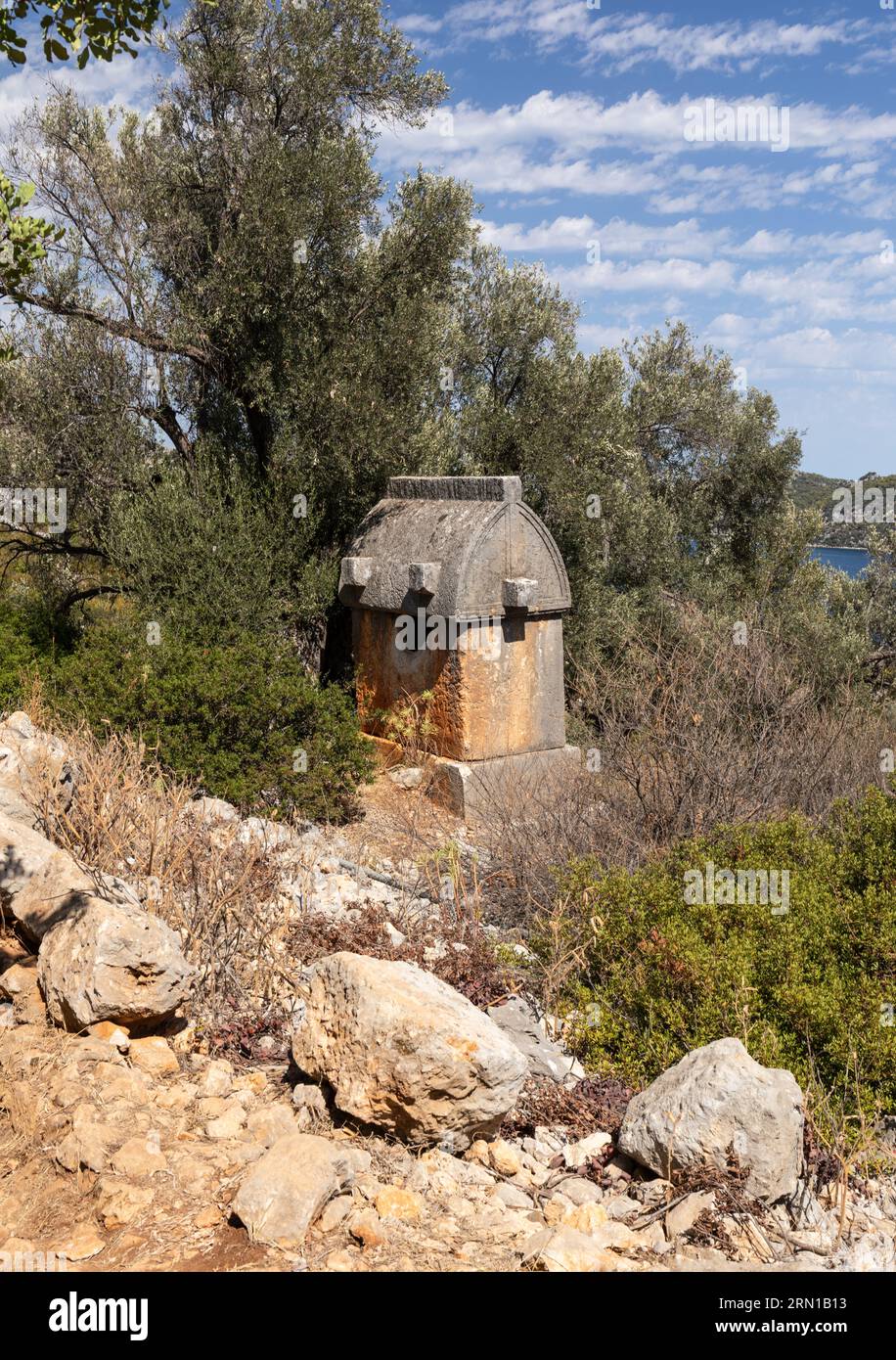 Close up of an ancient stone Simena sarcophagi (Lycian tomb) in the ...