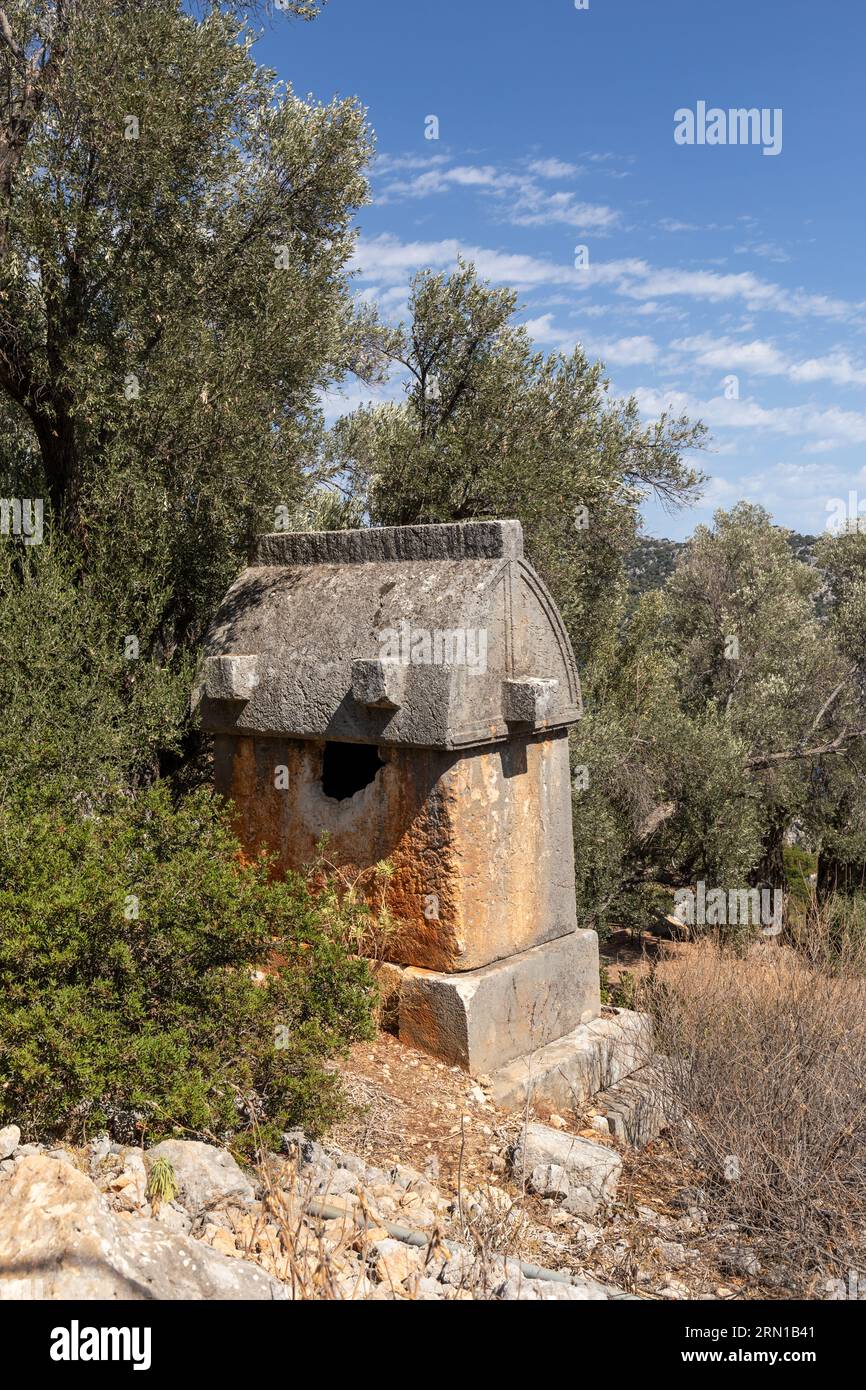 Close up of an ancient stone Simena sarcophagi (Lycian tomb) in the ...