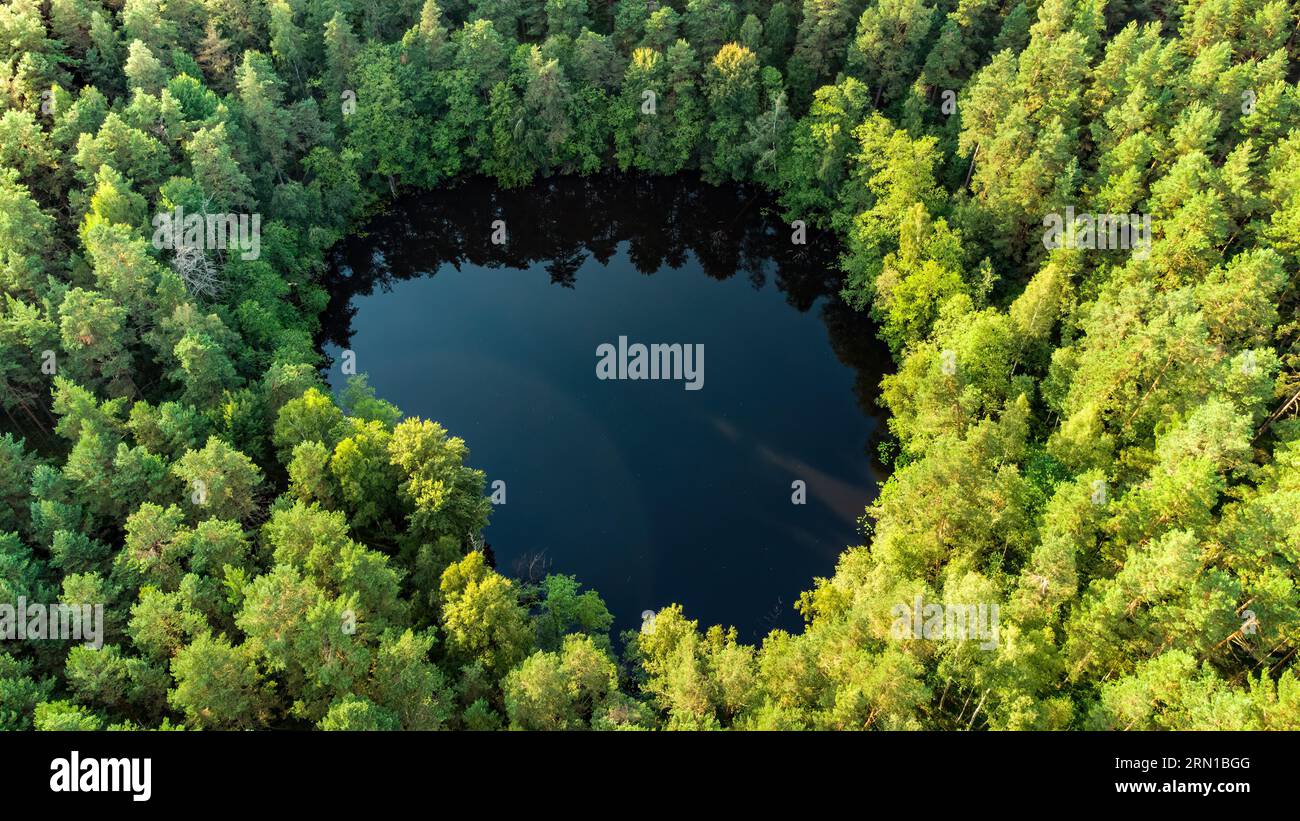 Aerial view of a lake in the forests of Lithuania, wild nature. The ...